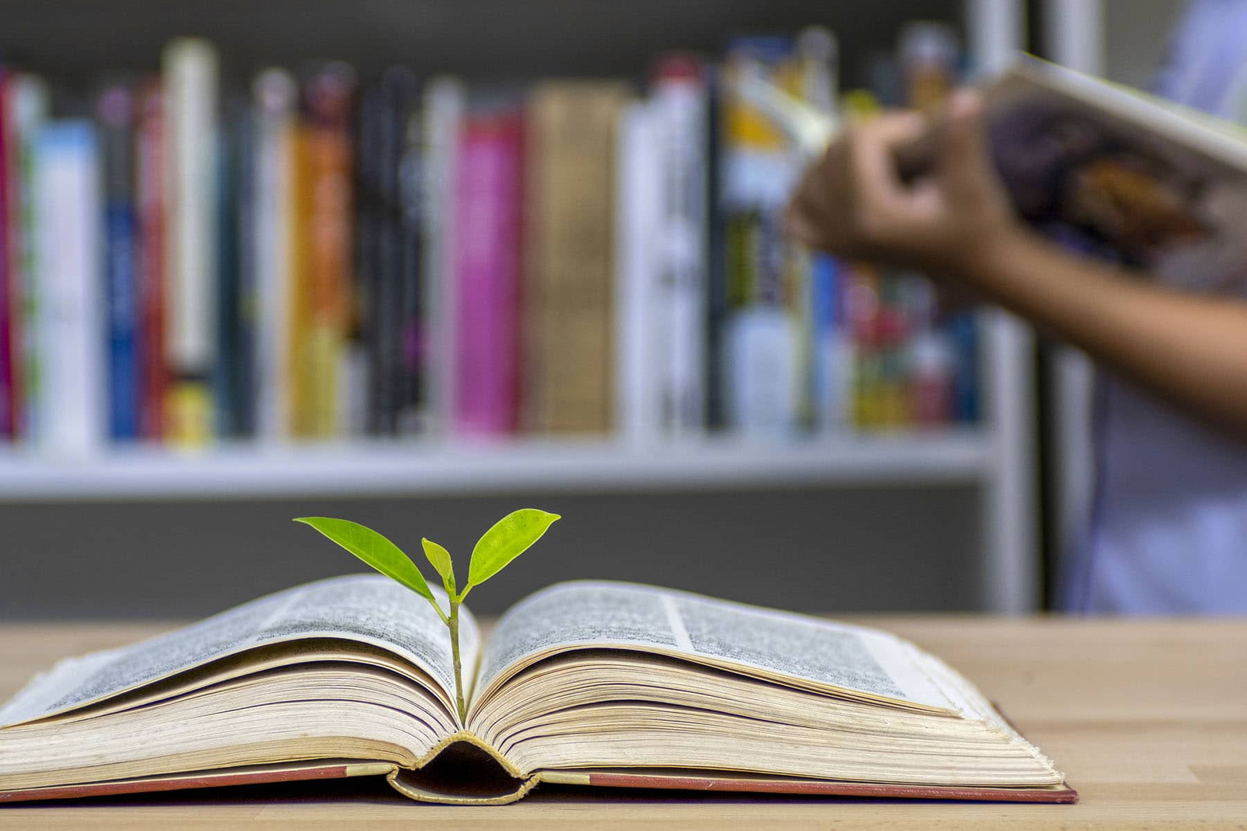 How to make learning meaningful and personal for our students ...